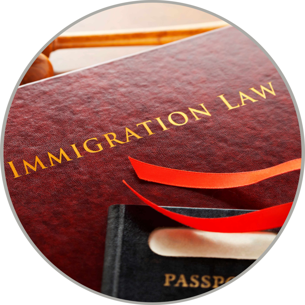 Immigration Services - Legal Solutions Africa
